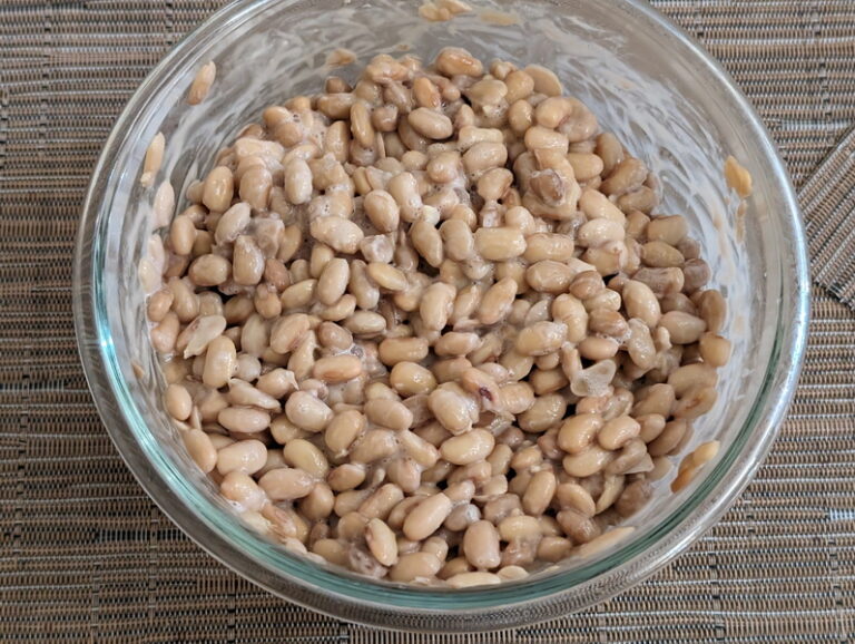 Instant Pot Natto – John Wong Recipes